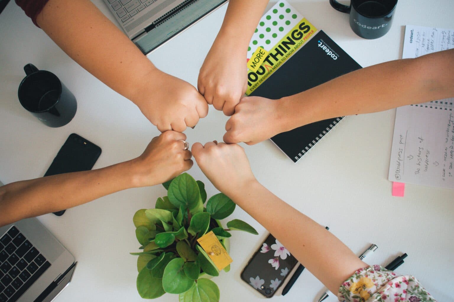 Différence entre collaboration et coopération : guide pratique complet